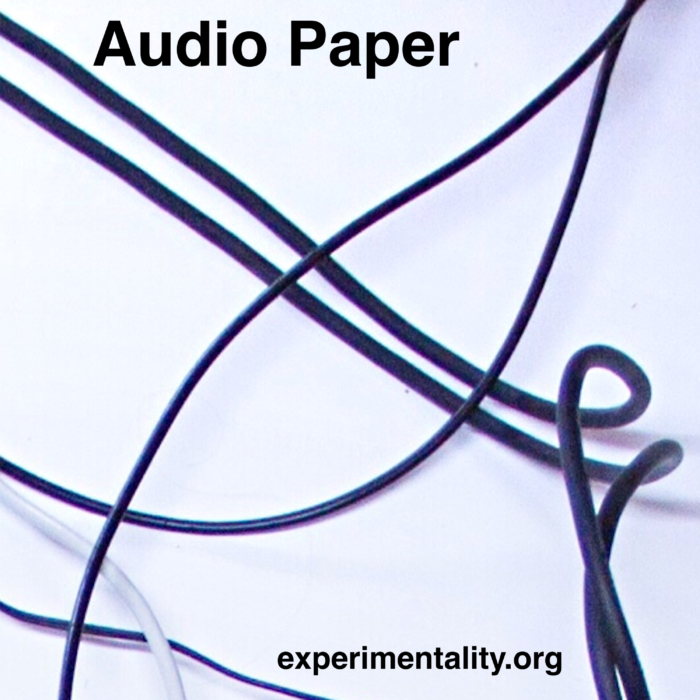 AudioPaper Logo – Experimentality
